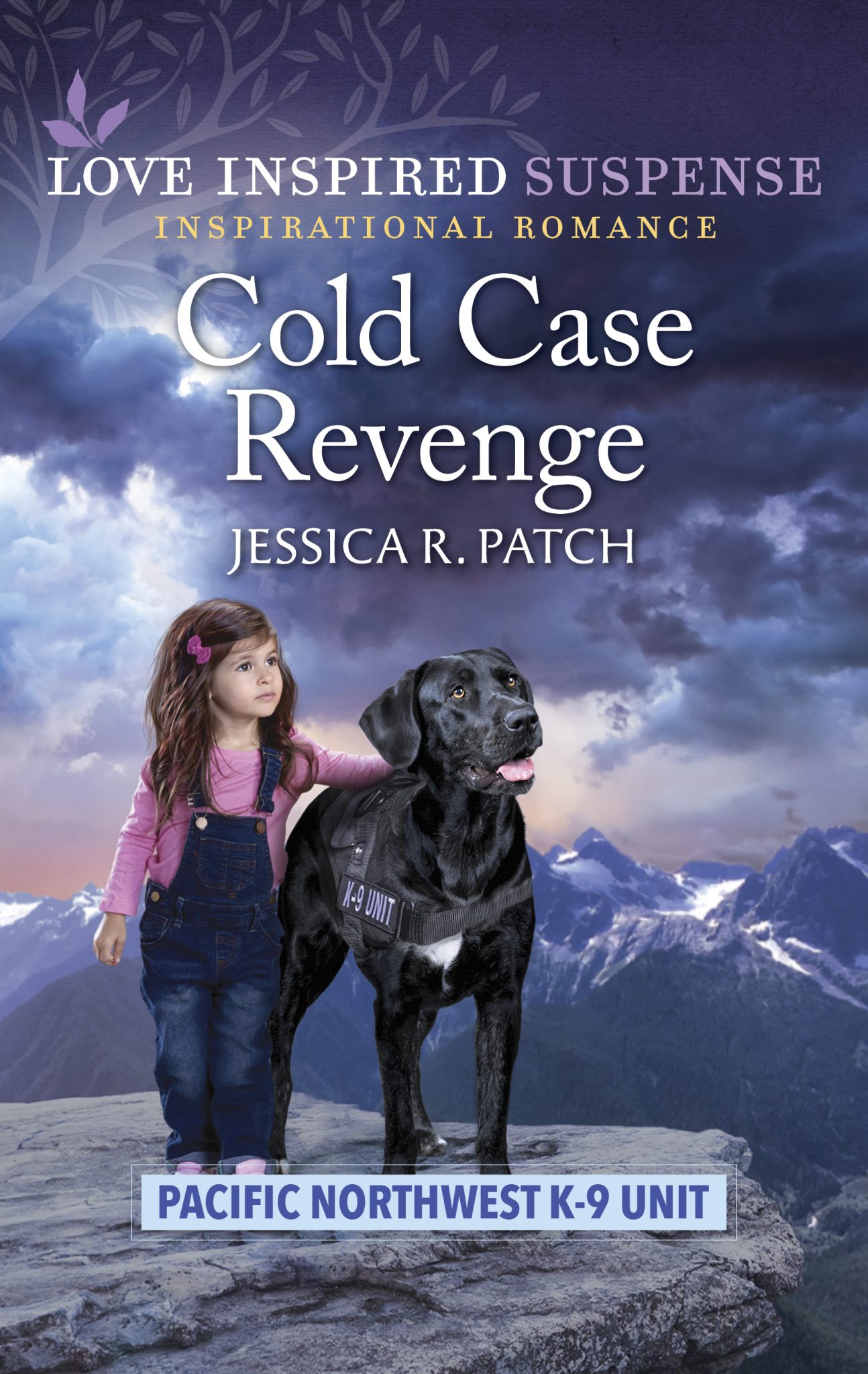 Love Inspired Suspense - Jessica R. Patch